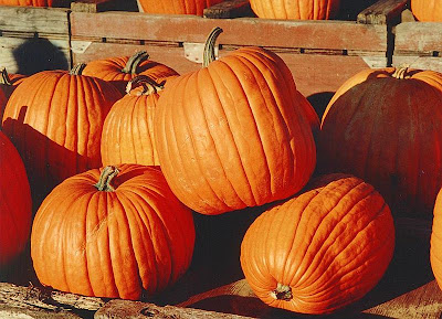 Halcyon Days: Pumpkin from China? Why?